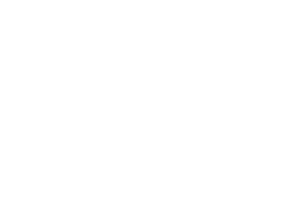 About Us | Global Guardian Services